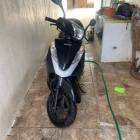 Tauro - 13 Motos tauro - Cari Motos